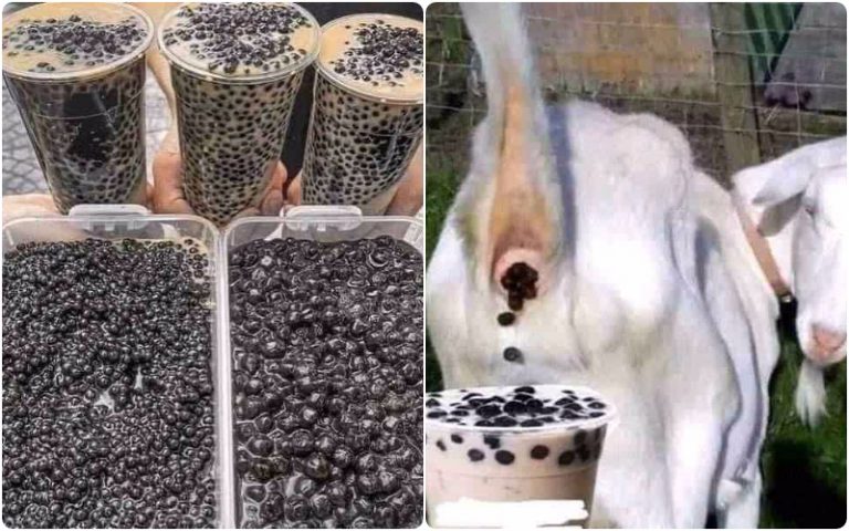 Goat Feces In High Demand In China Because Of This Shocking Reason