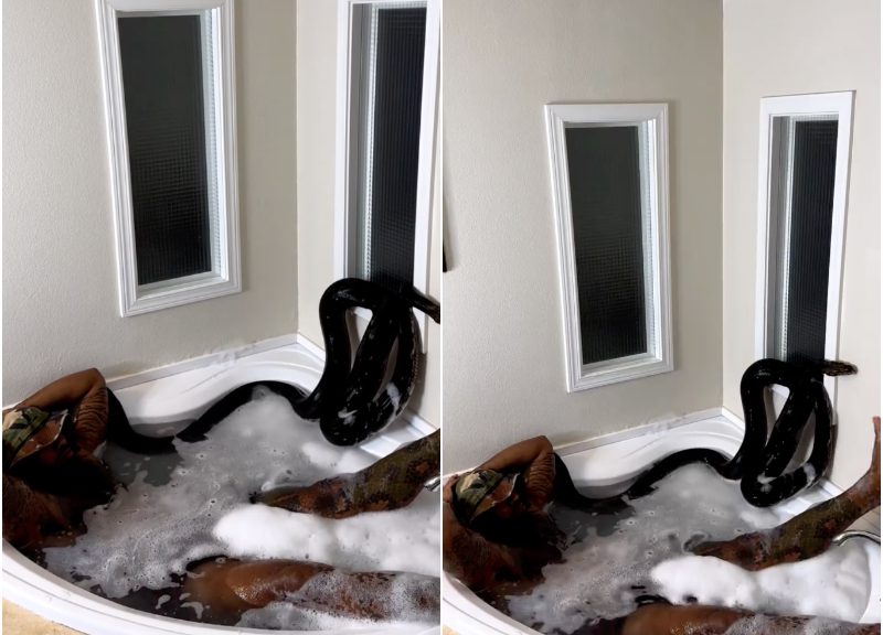 Man Spotted Bathing With A Python Snake (VIDEO)