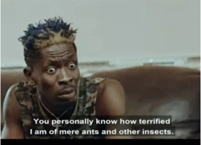 The Trail Of Shatta Wale: Movie Shatta Features In Finally Released ...